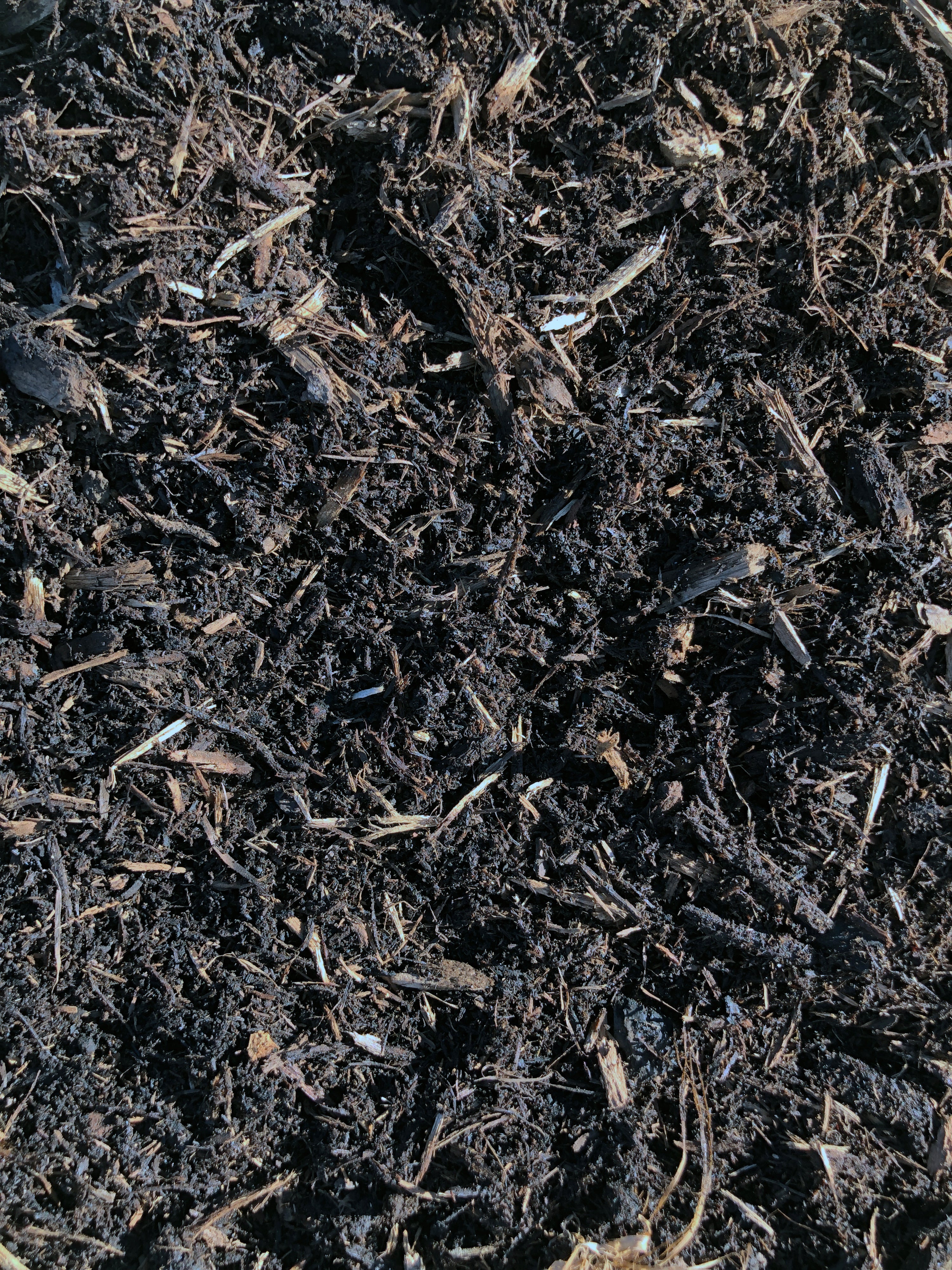 Country Arbors Nursery